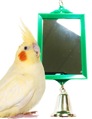 The Aviary - Aviary Bird Shop in Miami, Florida