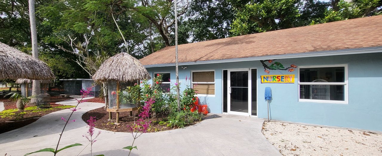 The Aviary - Aviary Bird Shop in Miami, Florida
