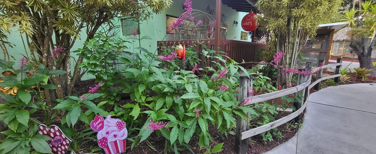 The Aviary - Aviary Bird Shop in Miami, Florida